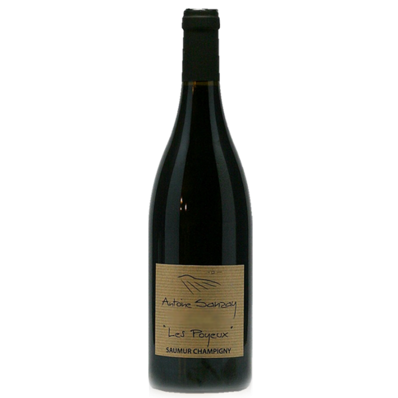 Domaine Antoine Sanzay Saumur-Champigny "Les Poyeux" 2015